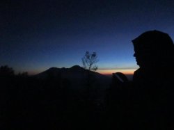 Kutunggu di Puncak Panderman - Surya.co.id