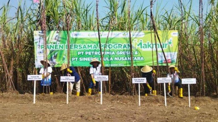 Petrokimia Gresik dan PT SGN Buat Program Makmur untuk Tingkatkan Produktivitas Tebu di ...