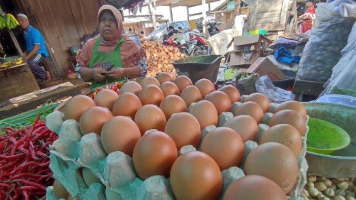 Harga Telur dan Daging Ayam di Trenggalek Naik Berbarengan - Surya.co.id