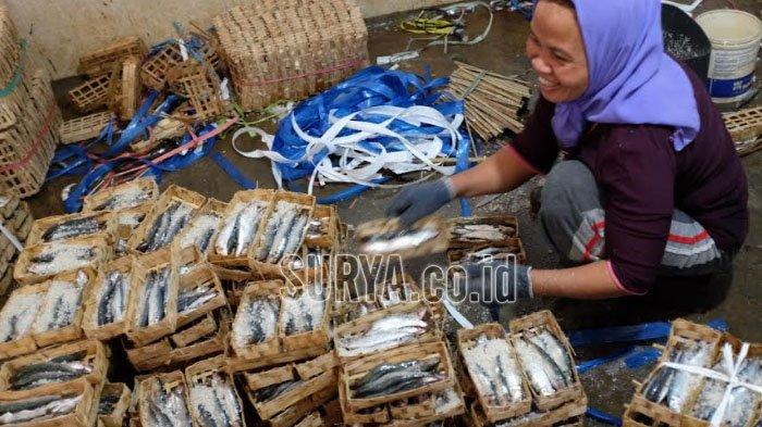 Harga Ikan di TPI Prigi Trenggalek Anjlok Separo, Ada yang Cuma Rp 4. ...