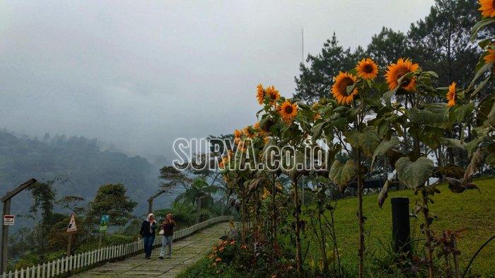 Healing di Trawas Mojokerto, Ada Destinasi Wisata Tawarkan View Cantik ...
