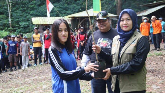 Yayasan Grojogan Sewu Konsisten 14 Tahun Tanam Pohon di Lereng Gunung Welirang Pasuruan - Surya ...