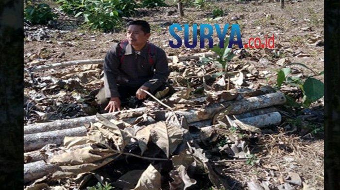 Warga Ungkap Pembalakan Jati Perhutani Blitar Curiga Bagian Dari