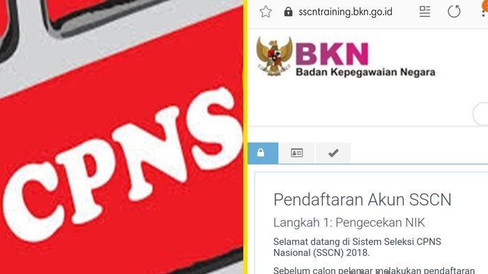 Penyebab Situs sscn.bkn.go.id Belum Bisa Diakses, Begini Penjelasan BKN ...
