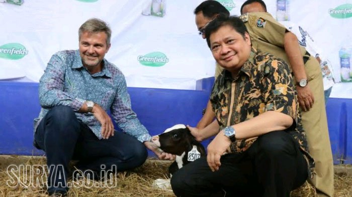 Peternakan Greenfields di Blitar Resmi Produksi Susu Segar - Surya.co.id
