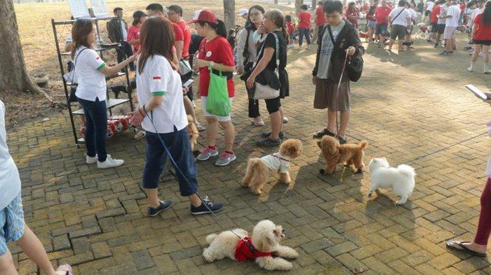 Warga Perumahan Citraland Surabaya Gelar Fun Pawrade Dogs Walk 2023 ...