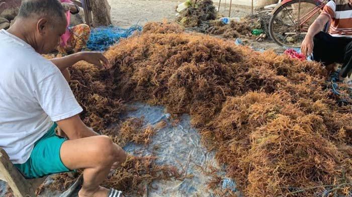 Kembangkan UMKM, KBI Jalankan Program Kemitraan BUMN, Gulirkan Pinjaman ...