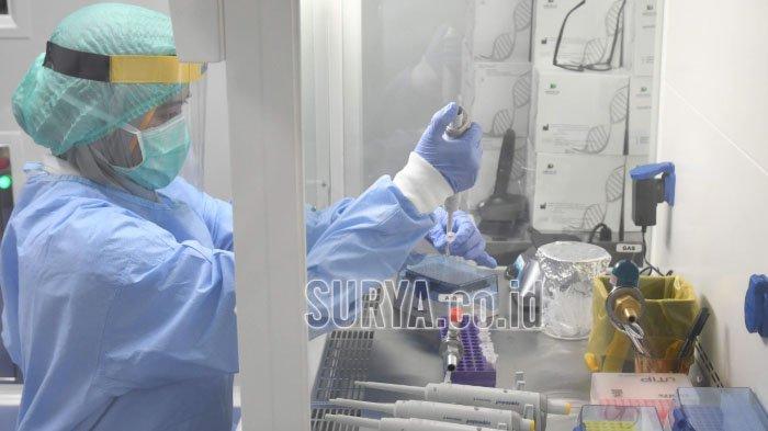Laboratorium Biomolekuler PCR Milik RS PHC Surabaya Trial Sampling Swab ...