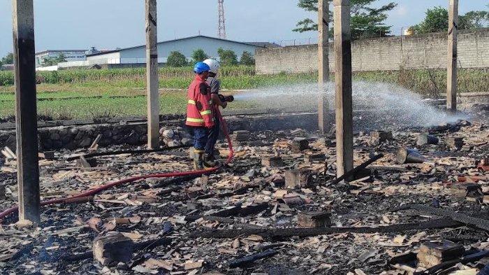 Penyebab Kebakaran Kandang Ayam di Blitar Diduga Akibat Korsleting Listrik - Surya.co.id