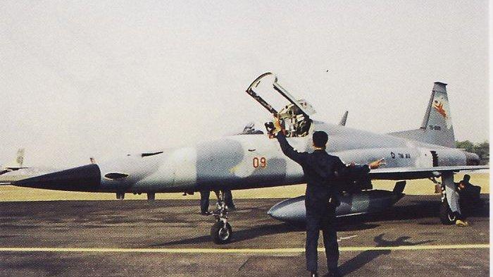 KEHEBATAN F-5 Tiger, Jet Tempur Legendaris TNI AU yang Menjaga Langit ...