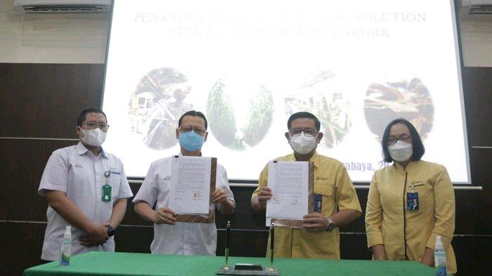 Berdayakan Petani Tebu, PTPN X Buat Kesepakatan dengan PT Petrokimia ...