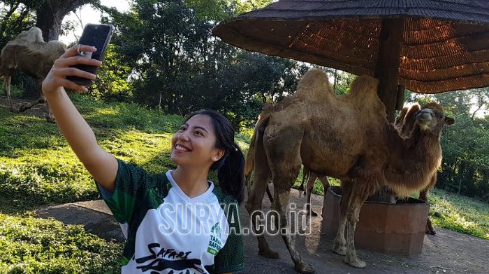 Safari Run Jadi Ajang Pengenalan Satwa Sejak Dini pada Anak-anak ...