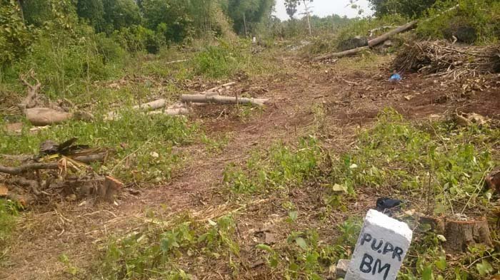 Pembangunan Jalur Lingkar Selatan Ring Road Tuban Terkendala Tanah Kas Desa - Surya.co.id