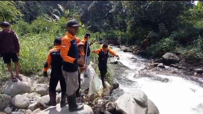 Tiga Ular Berukuran Besar Dilepas Liarkan di Hutan Kabupaten Madiun ...