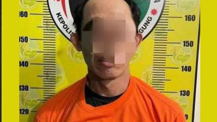 Sopir Truk di Tulungagung Nyambi Jadi Kurir Ganja, Rudi Ditangkap ... Sopir Truk di Tulungagung Nyambi Jadi Kurir Ganja, Rudi Ditangkap ...