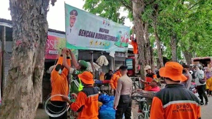 Bpbd Kota Probolinggo Imbau Warga Waspada Pohon Tumbang Pasang Stiker