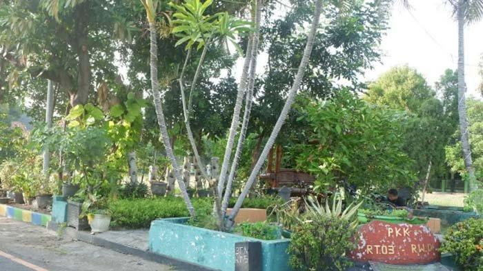 Warga RT 3 RW IX mulai Inisiatif Hias Kampung dengan Lampu Warna Warni ...