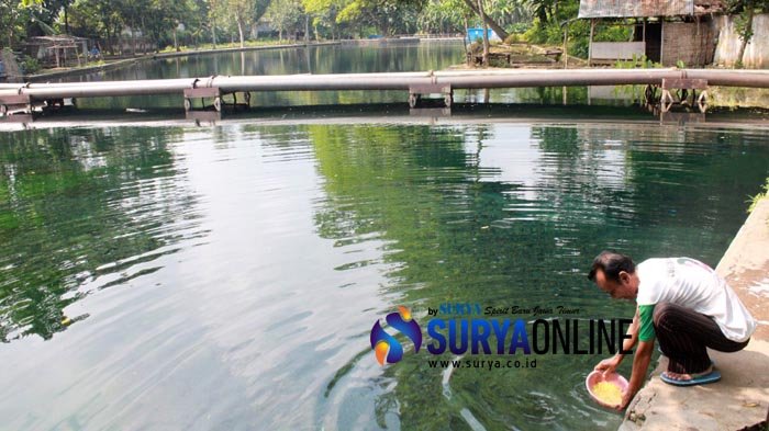 Pemkab Pasuruan Kirim Surat Peninjauan Kembali Proyek SPAM Umbulan, Ini ...