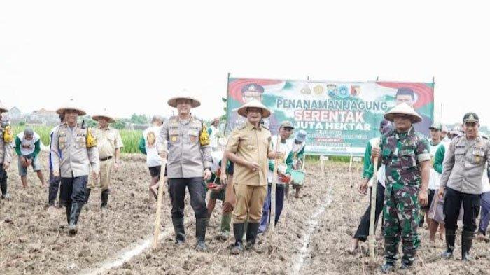 Polres Lamongan Tanam Jagung di Lahan 10 HA, Jadikan Lamongan Pendukung Swasembada Pangan ...