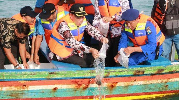 Jaga Kelestarian, Pemkab Lamongan Tebar 200.000 Benih Rajungan di ...