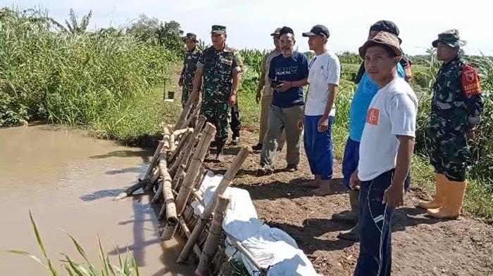 Cegah Permukiman Tenggelam, TNI-Polri dan Masyarakat Perkuat Tanggul Kritis di Sisi Bengawan ...