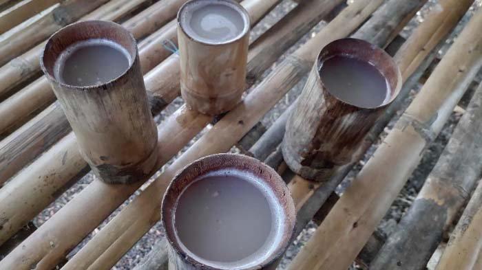 Cara Bedakan Legen dan Tuak, Minuman Khas Kabupaten Tuban, Kenali Waktu ...