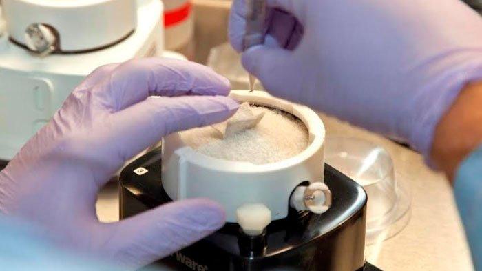 Tupperware Raih Penghargaan Bergengsi Menumbuhkan Tanaman di Luar ...