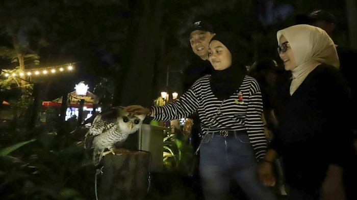 Surabaya Night Zoo Resmi Dibuka Pada 25 Juni 2023, Berikut Informasi Harga Tiketnya - Surya.co.id