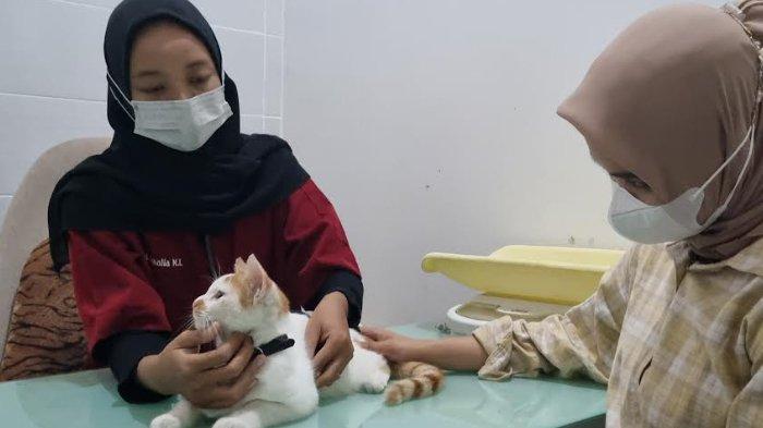 Aware Bahaya Virus Rabies, Makin Banyak Warga Gresik Vaksinasi Rabies ...