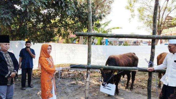 Wali Kota Ning Ita Serahkan Hewan Kurban 9 Sapi dan 9 Kambing pada Idul ...