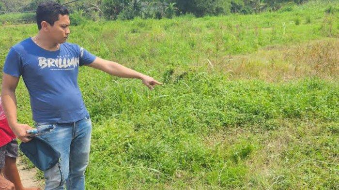 Berteriak Kesakitan Saat Menyabit Rumput, Warga Lamongan Tewas Kesetrum ...