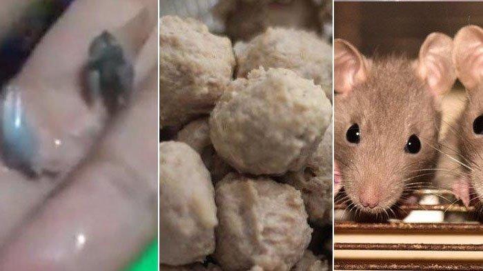 Waspada Bakso Diduga Daging Tikus di Madiun, Ini Cara Mudah Bedakan ...