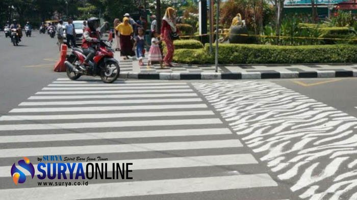 Keren, kini Ada Zebra Cross Bermotif Hewan - Surya.co.id
