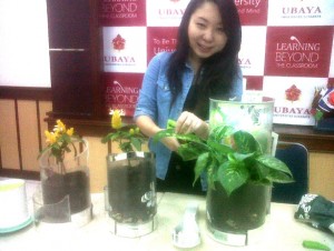 Kini Makin Mudah Berkebun di Apartemen - Surya.co.id