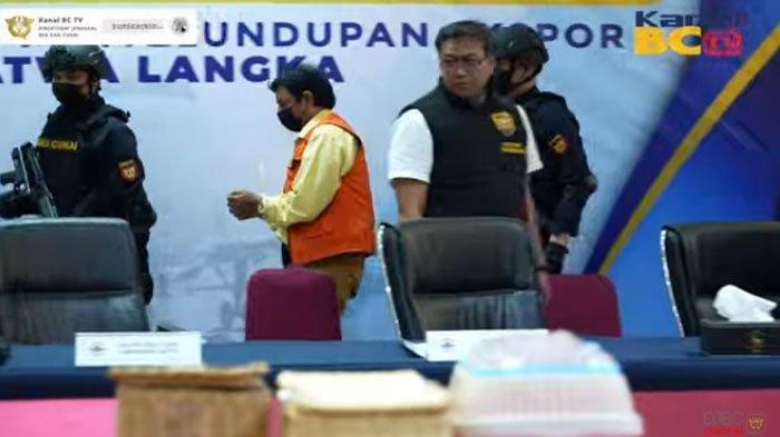 Raama Mehra Ditangkap karena Selundupkan Hewan Langka di Indonesia ...
