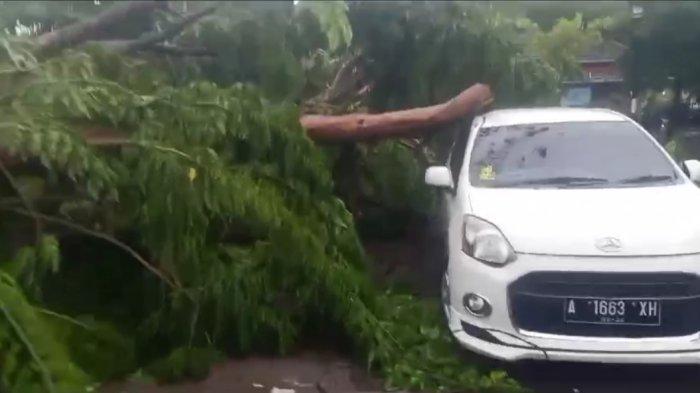 Angin Kencang Tumbangkan Pohon dan Menimpa Mobil Ayla di Area Kantor Dishub Gresik - Suryamalang.com
