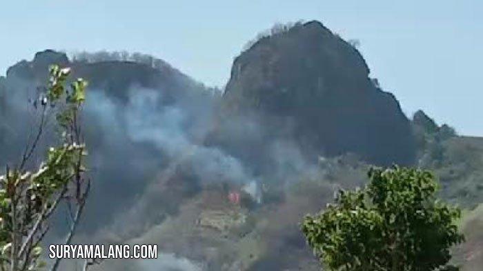 Api Menjalar di Gunung Budheg Tulungagung, Ada Indikasi Sengaja Dibakar ...