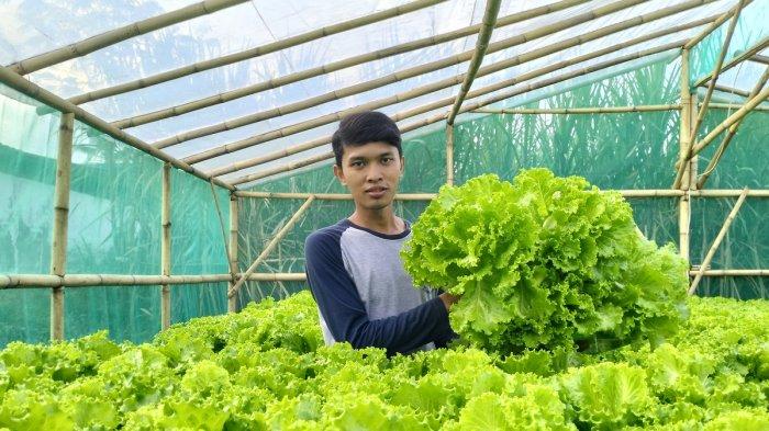 Belajar dari YouTube, Seminggu Sekali Arif Kantongi Rp 3 Juta dari ...