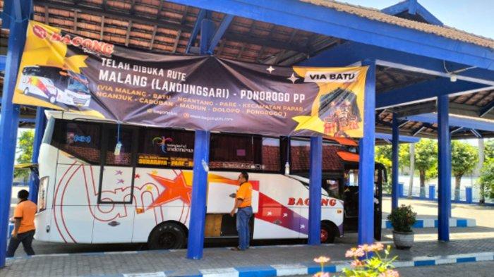 Bus Bagong Ponorogo-Malang Resmi Diluncurkan Besok, Berikut Rincian ...