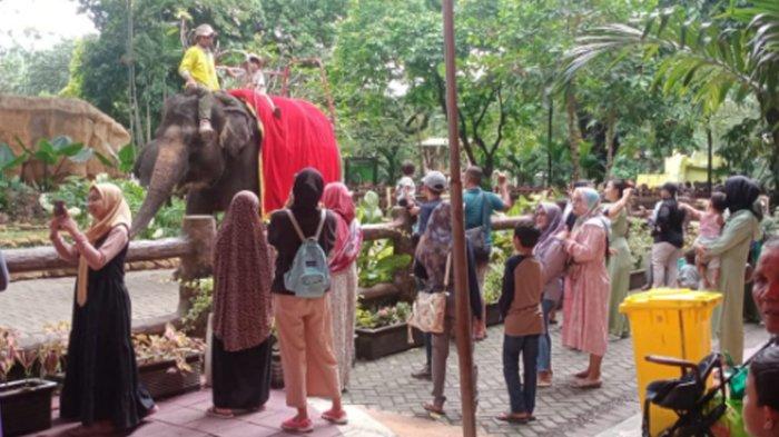 Harga Tiket KBS Terbaru untuk Lebara 2024, Kebun Binatang Surabaya ...