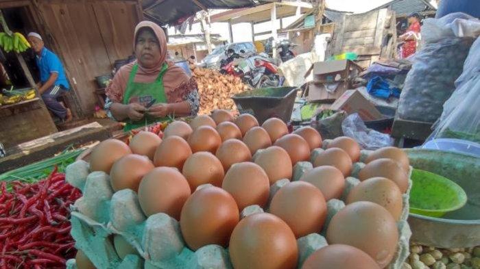 Harga Telur Ayam di Jawa Timur Melambung Tinggi, Ada Faktor dari Rusia dan Ukraina - Suryamalang.com