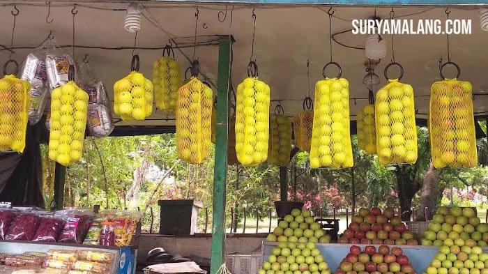 Keluh Kesah Pedagang Buah Apel di Sentra Buah STT Sati Kota Malang ...