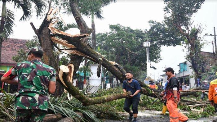 Anomali Cuaca di Malang, BPBD Kabupaten Malang Imbau Masyarakat Agar ...