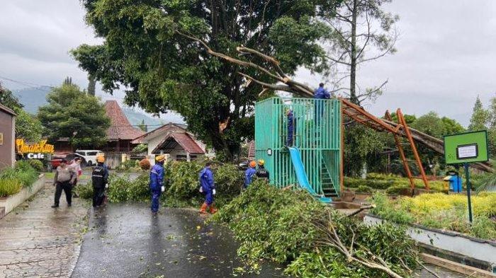 Hujan Lebat dan Angin Kencang Akibatkan Pohon Tumbang di Kota Batu - Suryamalang.com