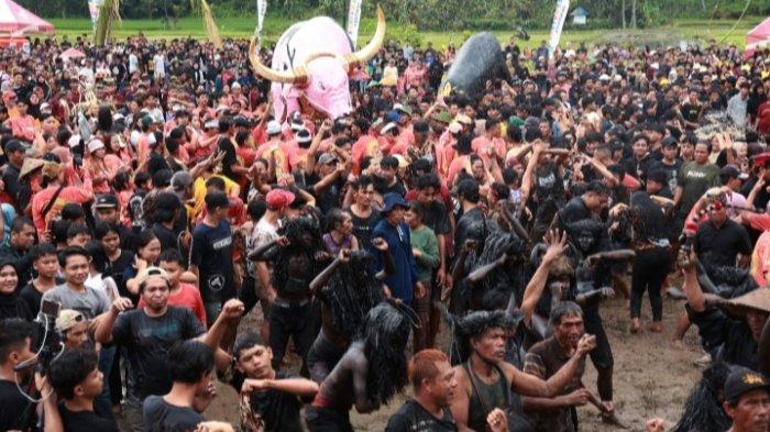 Ribuan Orang Ramaikan Ritual Adat Keboan Aliyan di Rogojampi Banyuwangi ...