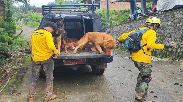 Sinyal Positif dari Operasi SAR 6 Orang Hilang Tanah Longsor Trenggalek ...