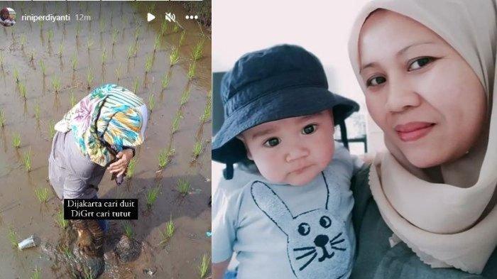 Sus Rini Jajal Jadi Petani Saat Cuti Liburan ke Kampung, Bandingkan Hidup Jadi Pengasuh Rayyanza ...