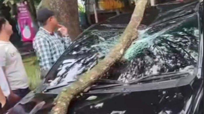 Toyota Calya Tertimpa Dahan Pohon di Jalan Bandung Klojen, DLH Kota Malang Harus Turun Tangan ...