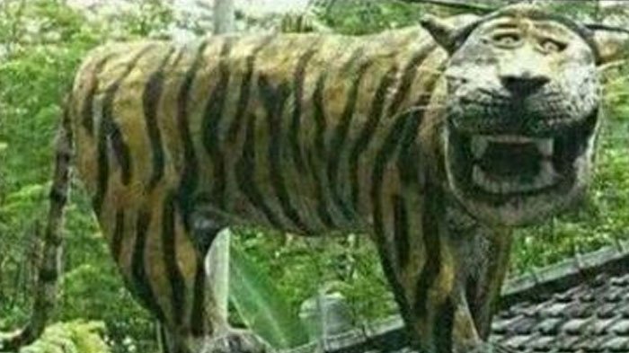 Berita Media Luar Negeri Ini Ungkap Harimau ‘Paling Lucu’ dan ‘Paling ...