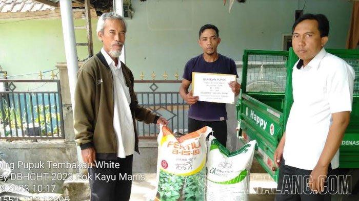 Hasil Cukai Tembakau untuk Bantu Pupuk dan Pompa Air bagi Kaum Tani di Lumajang - Suryamalang.com